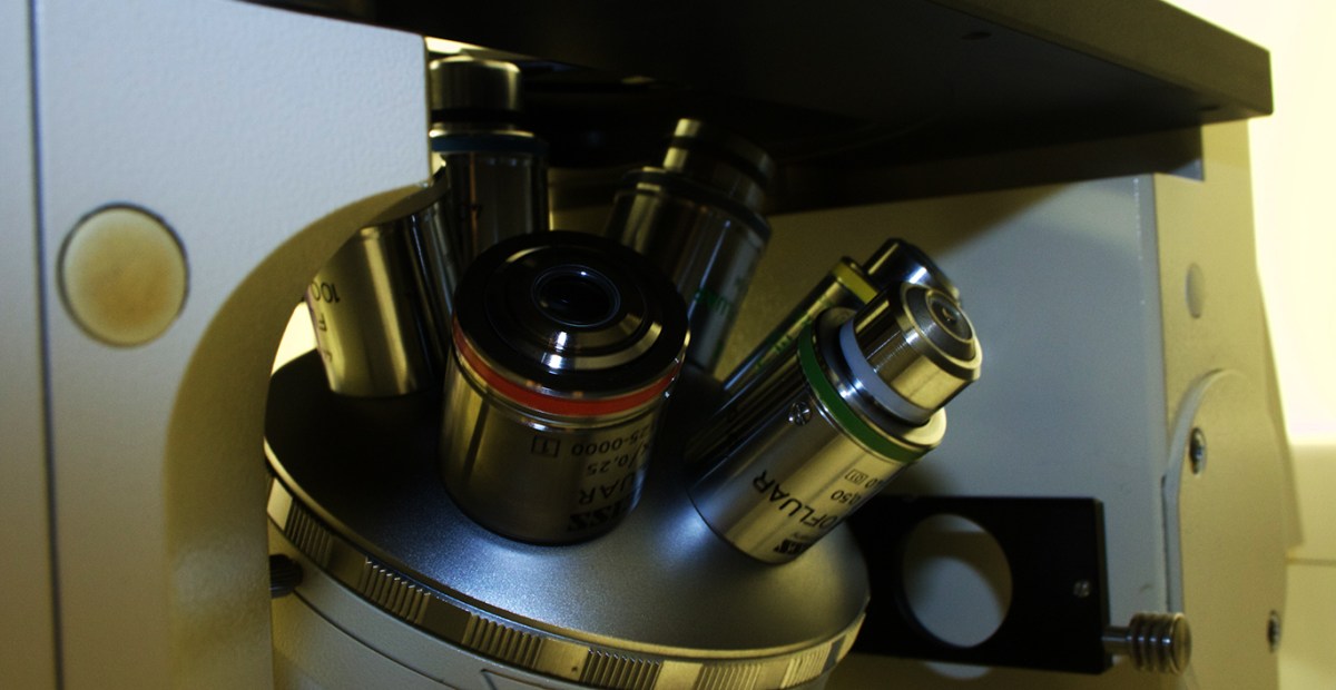 Finding us | Lloyd-Evans Lab